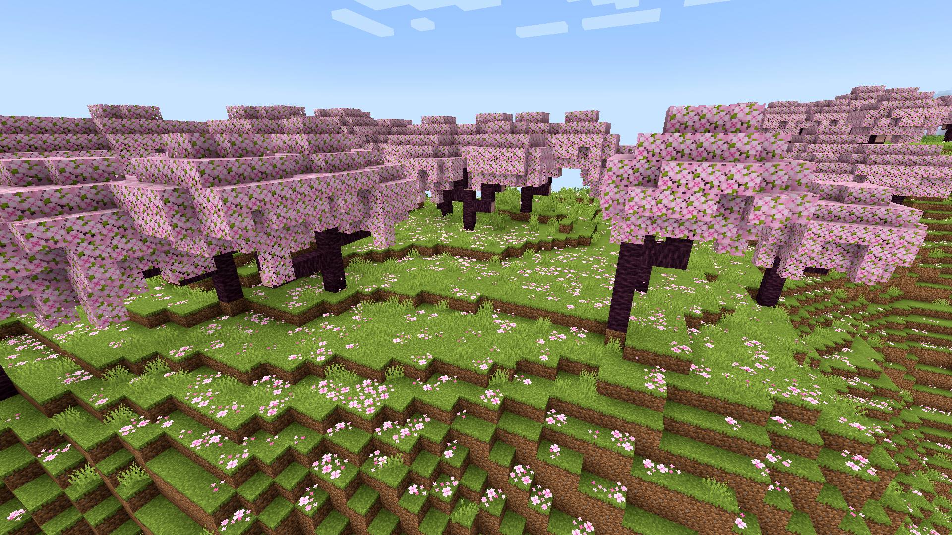 5 Seed Minecraft Terbaik untuk Bunga Sakura - Haluan Row